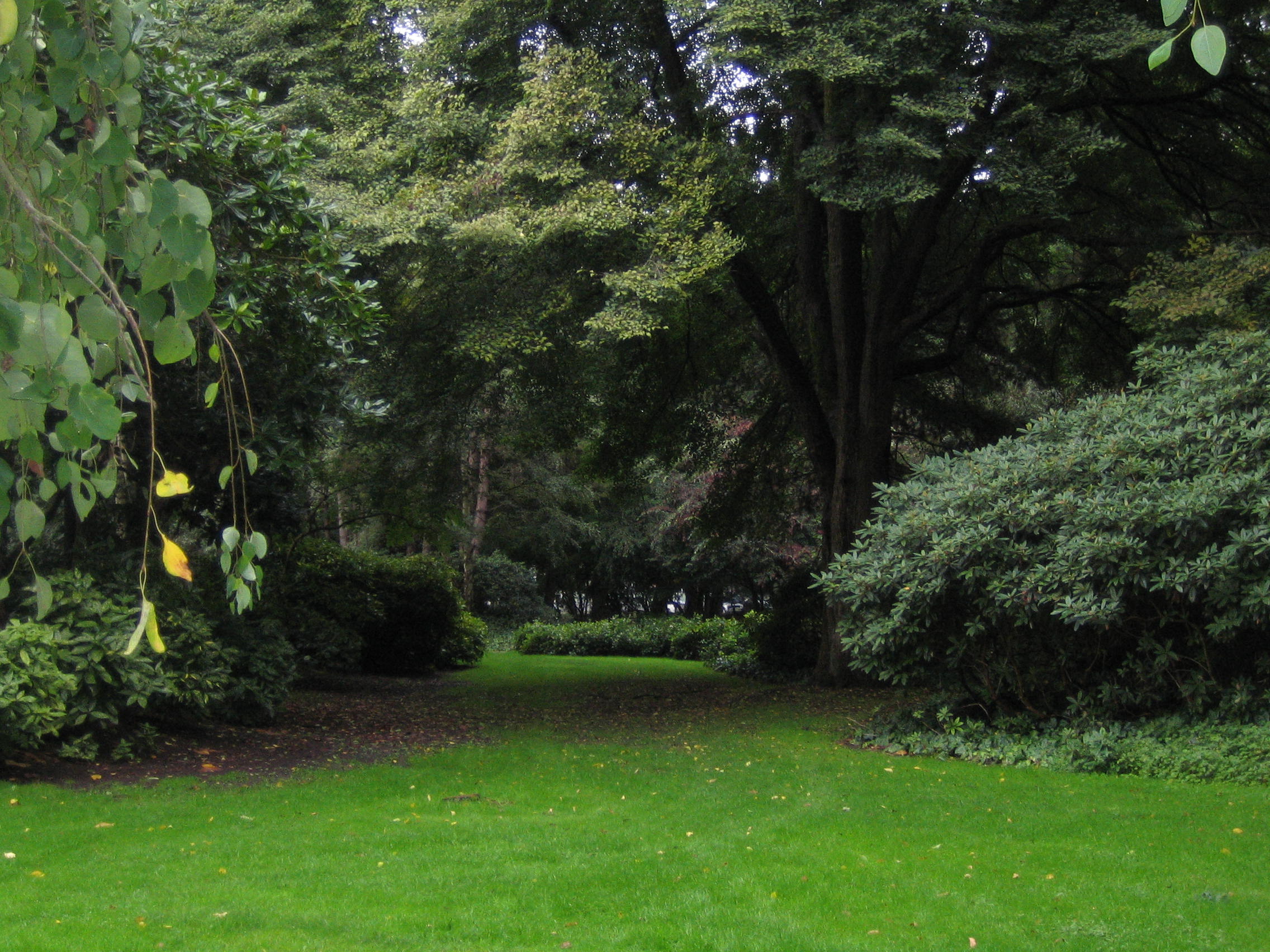 The Setting – The Rabbit Rescuers