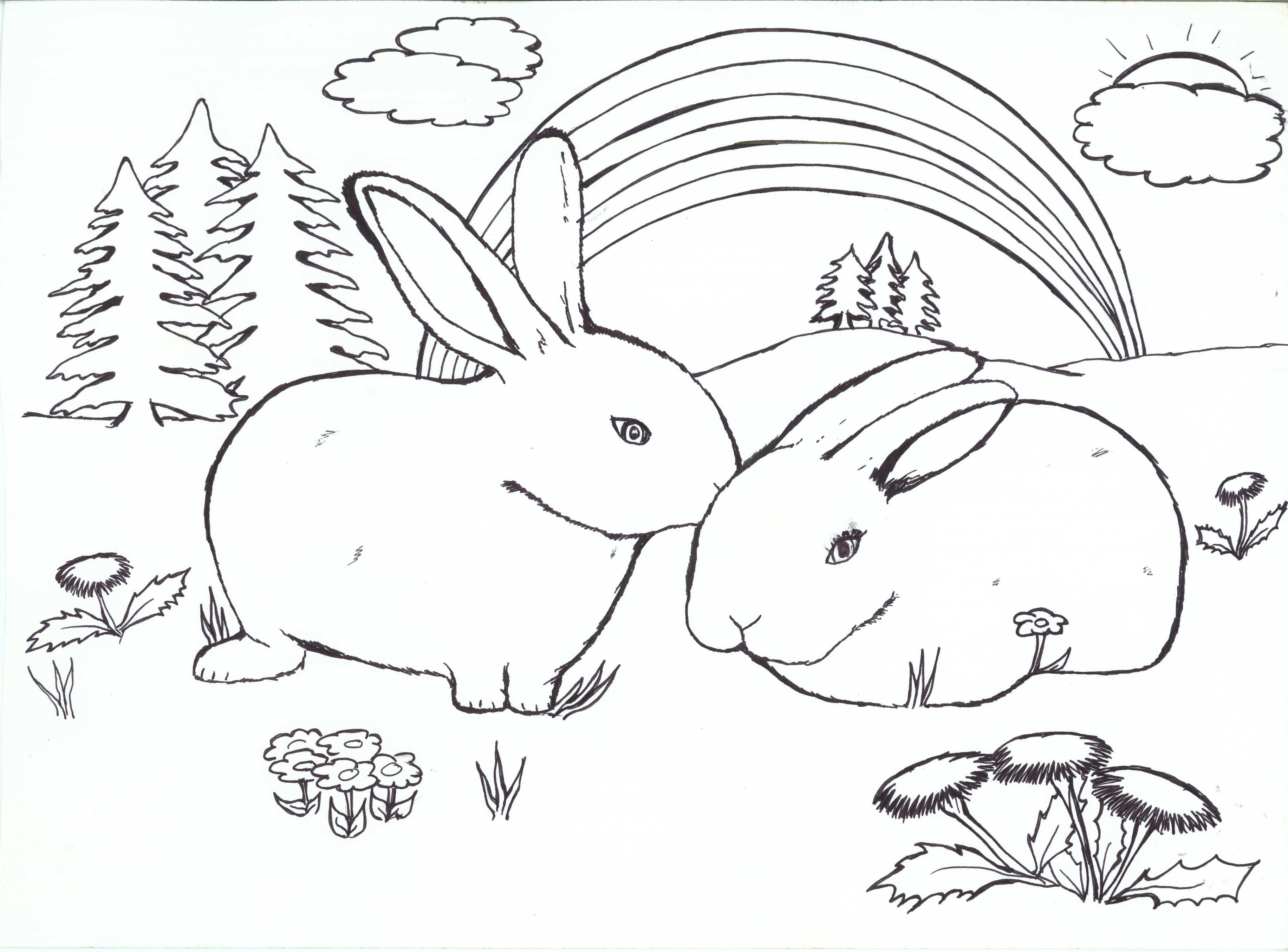 Colouring Picture #4 – The Rabbit Rescuers