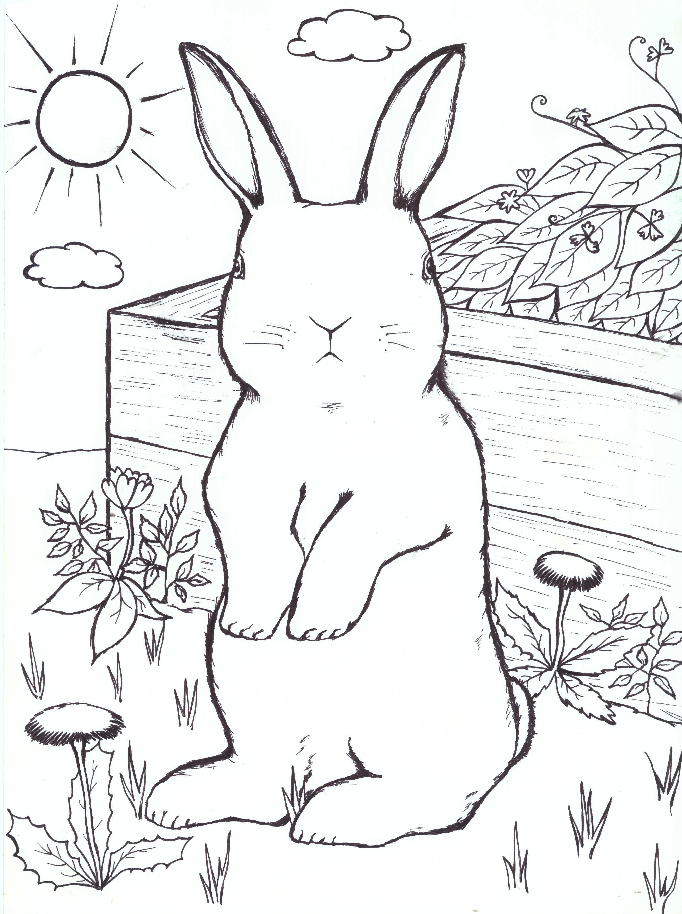 Colouring Picture #5 – The Rabbit Rescuers